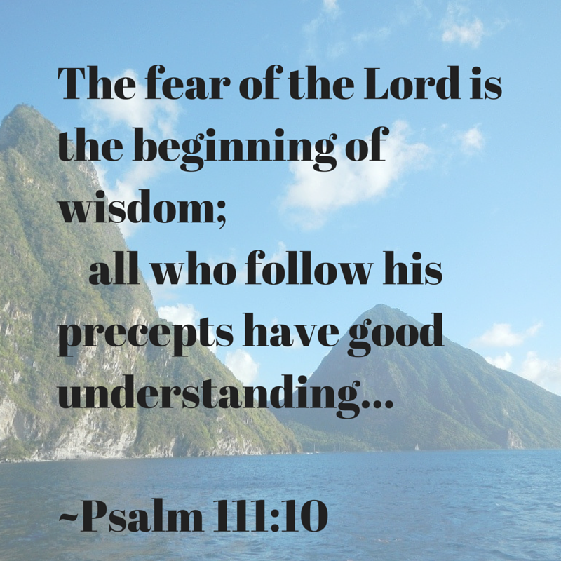 Growing Up In The Word : Reverence and Revelation