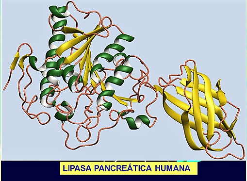 IES Valle de Leiva - Ciencias jmcm