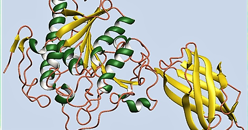 IES Valle de Leiva - Ciencias jmcm: LAS LIPASAS
