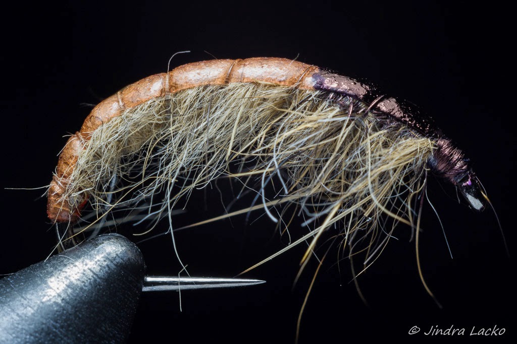 Grayling on the Fly: Hydropsyche larva