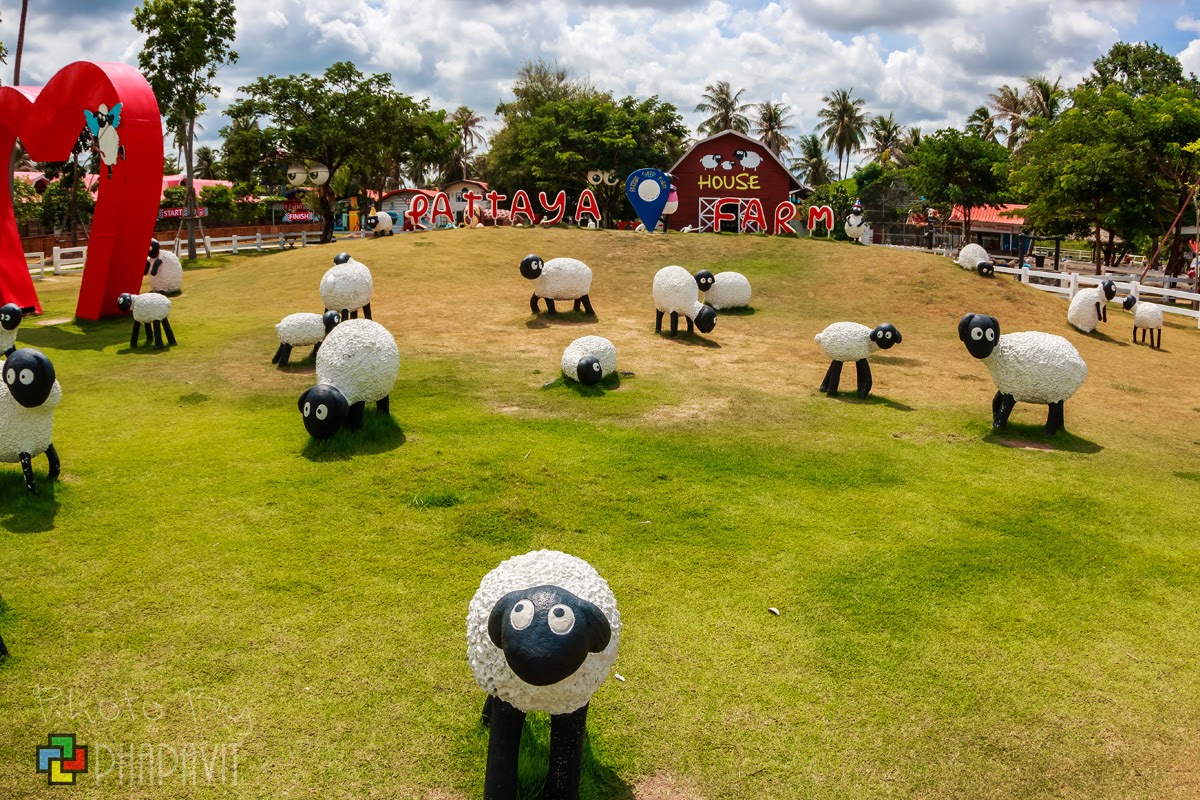 น้องเพลินพาเที่ยวฟาร์มแกะพัทยา (Pattaya Sheep Farm) - ที่เที่ยวบล็อก