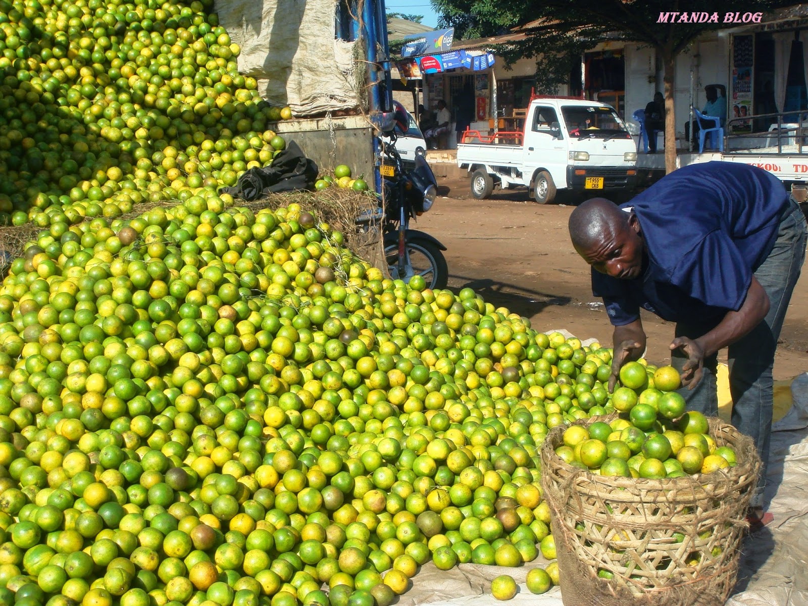 MACHUNGWA BEI CHEE KARIBU NA BURU. | MTANDA BLOG