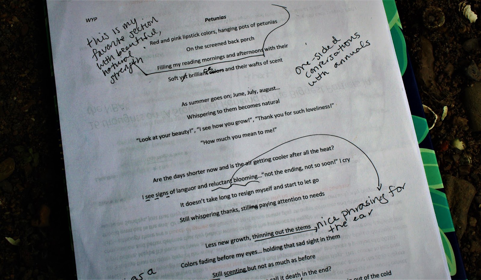 poetry with jennifer hetrick ♥: petunia poems and muddy kinds in late ...