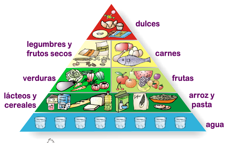 2º CICLO EN LA NAVATA: ALIMENTACIÓN Y VIDA SANA