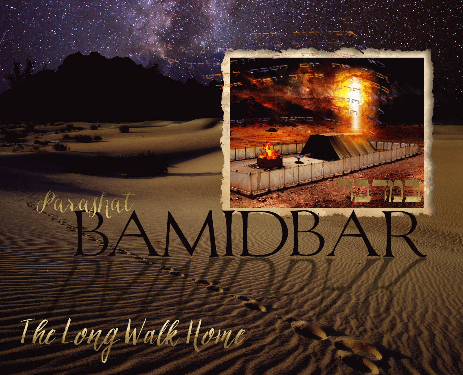 By His EVERY Word: The Long Walk Home | Parashat Bamidbar | Your Weekly ...