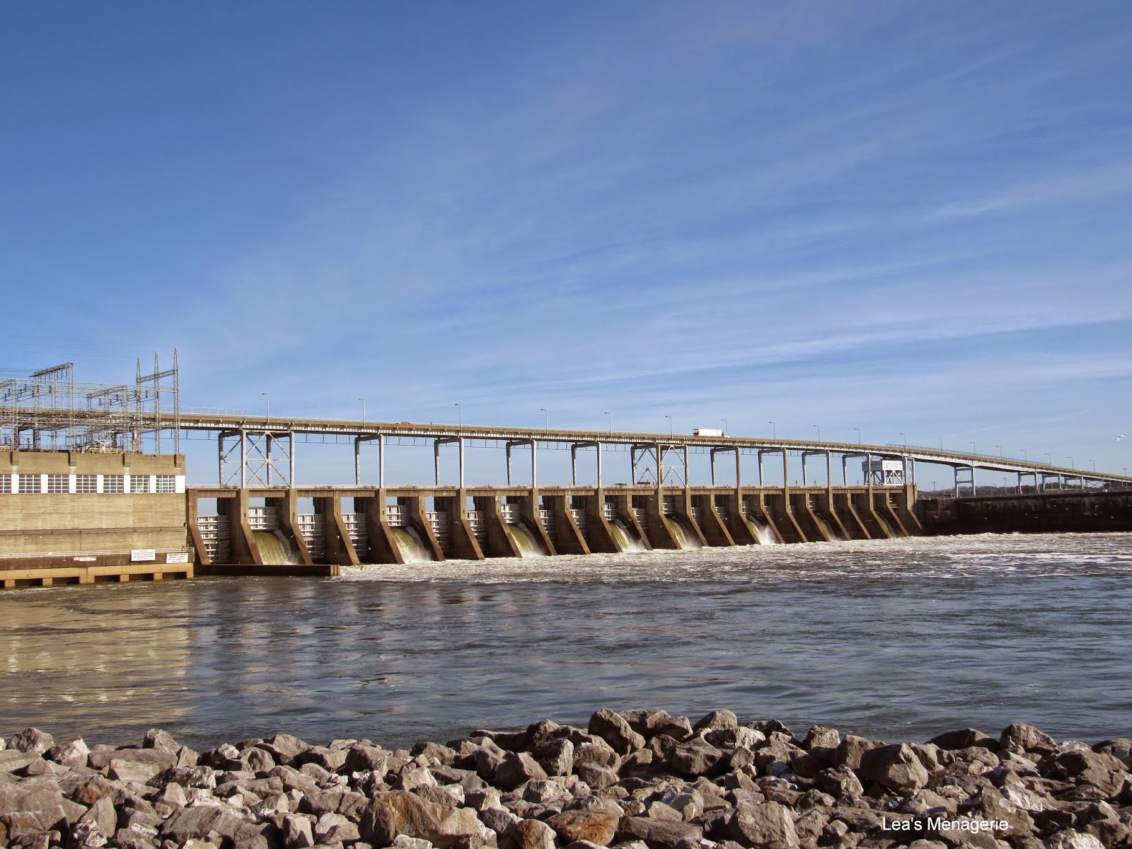 Lea's Menagerie: Pickwick Dam, January 8-9, 2015