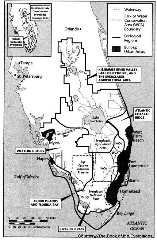 FOREST BIRD: Everglades Re-visited 2 ……Big Cypress National Park