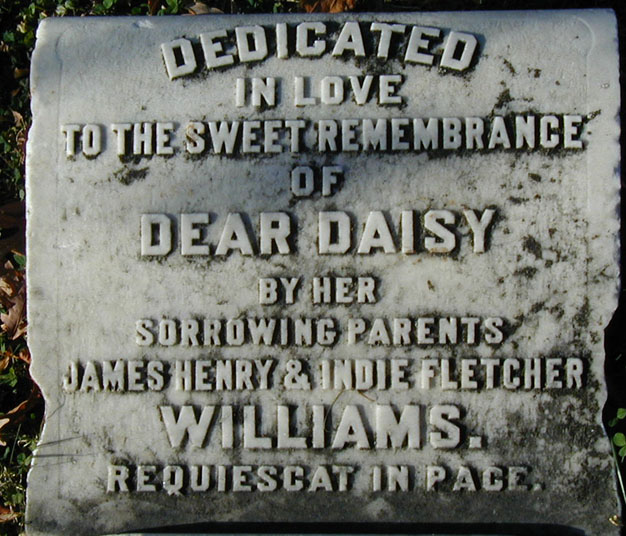 Civil War Quilts: Antebellum Album #1: Wandering Lover