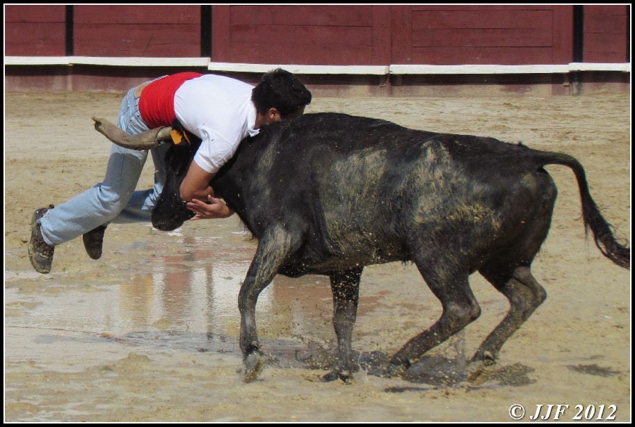 O Filho da Terra: Treino dos Forcados de Coruche