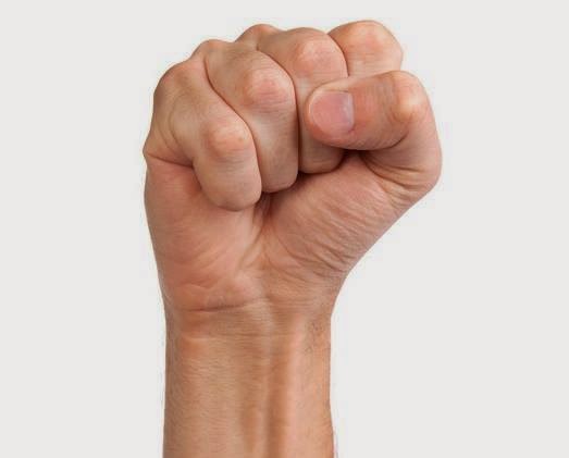 Disfruto meditar: MUSHTI MUDRA