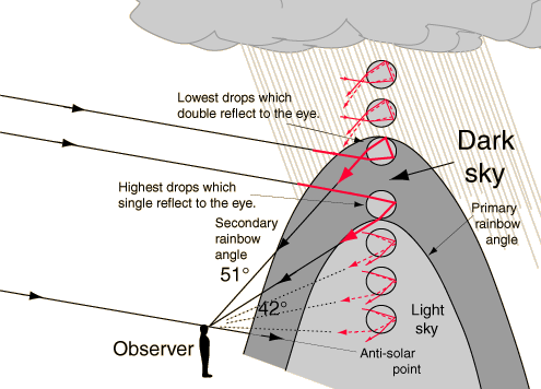 Why Does A Rainbow Form After the Rain: what is Dispersion?