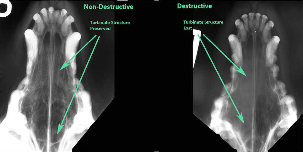 Lakeland Veterinary Imaging