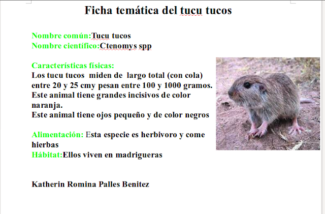 Descubriendo Bichos: Tucu-Tucu