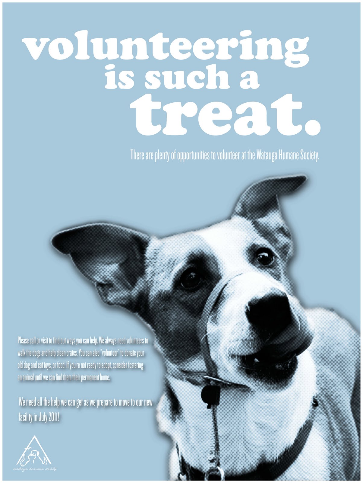 Stacey Campbell: Watauga Humane Society: More Posters