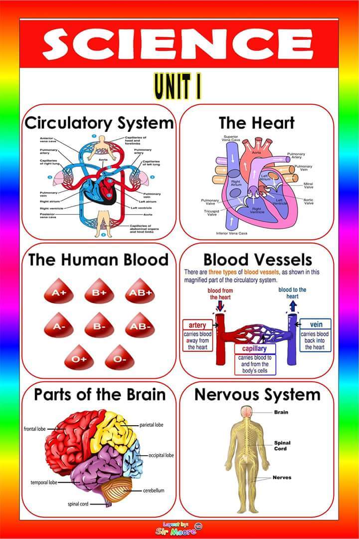 GRADE 5 BULLETIN LEARNING AREAS - DepED K-12 File Share