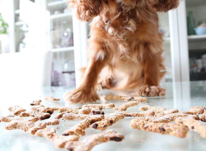 Wellybix: Eva and Amelia review our Bake a Bone Kits