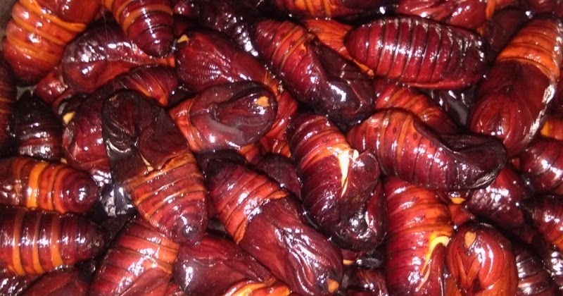 9 Most Delicious Assamese Recipes - Travtasy