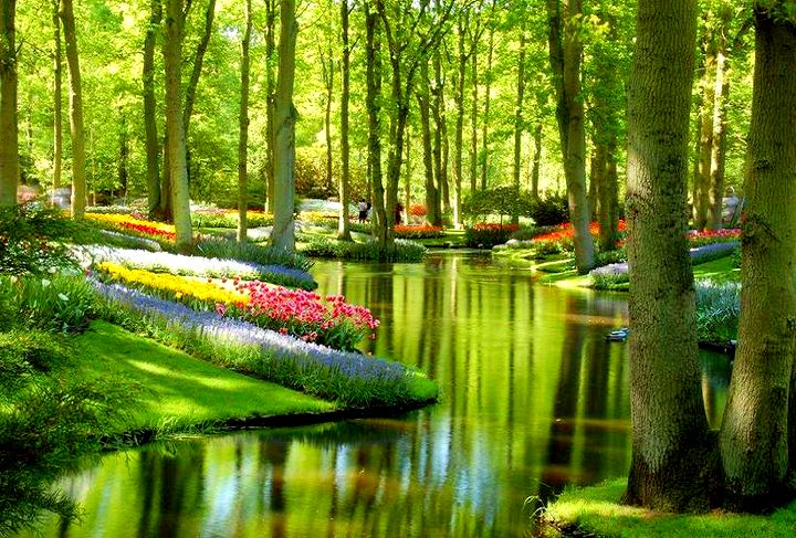 Nikmati Keindahan Taman Bunga - Relaks Minda