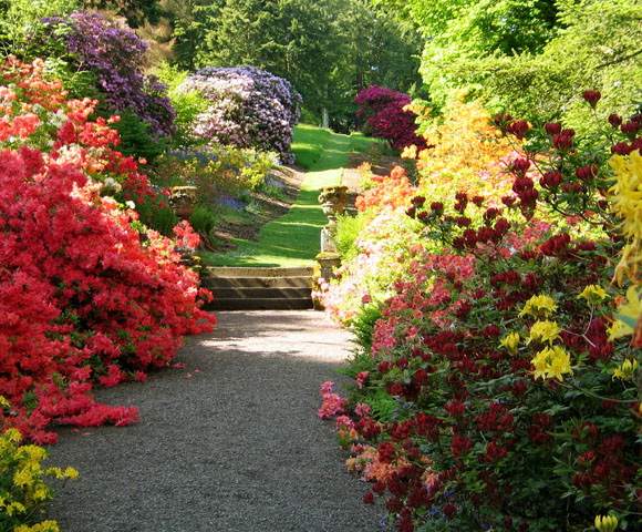 14 Beautiful And Dashing Spring Season Wallpapers In HD