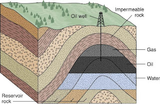 Learning Geology: Petroleum Geology