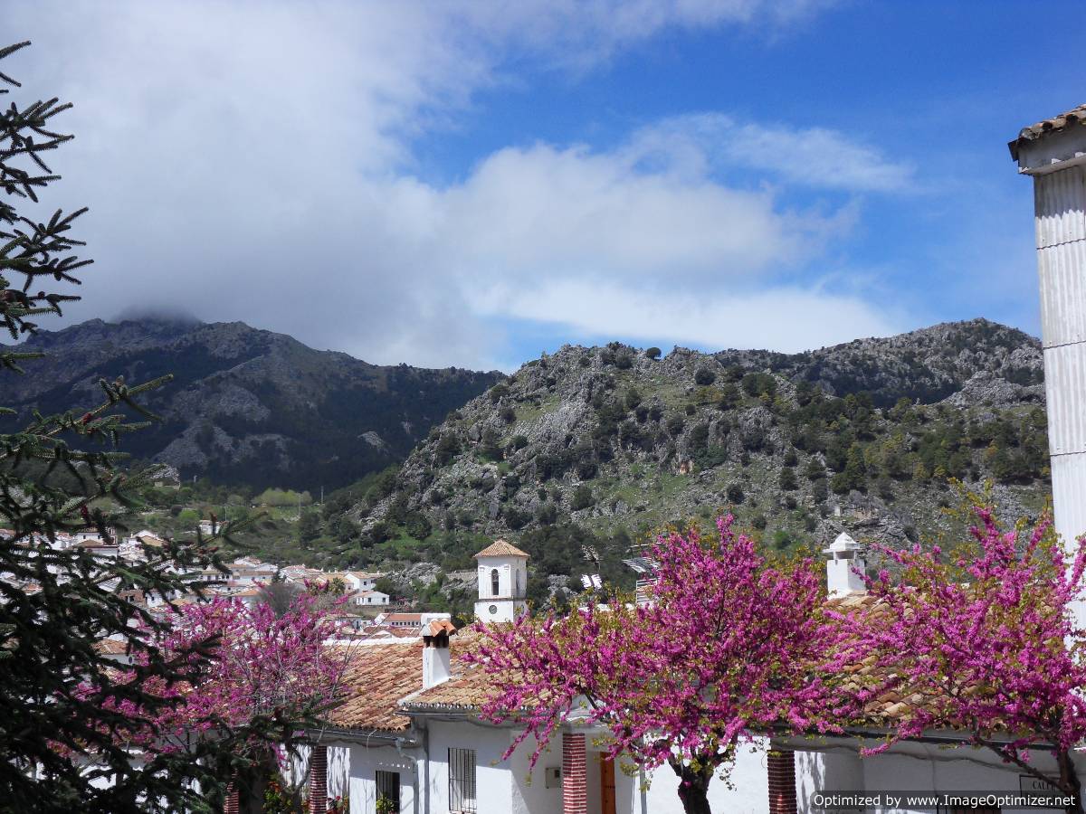 Day Trips Southern Spain: Spring in Southern Spain