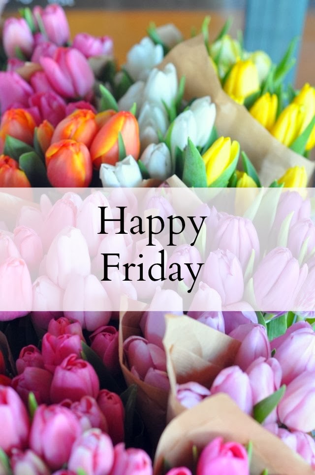 ann elliott: February 2014