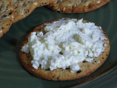 5 Acres & A Dream: Cheesemaking: Chèvre