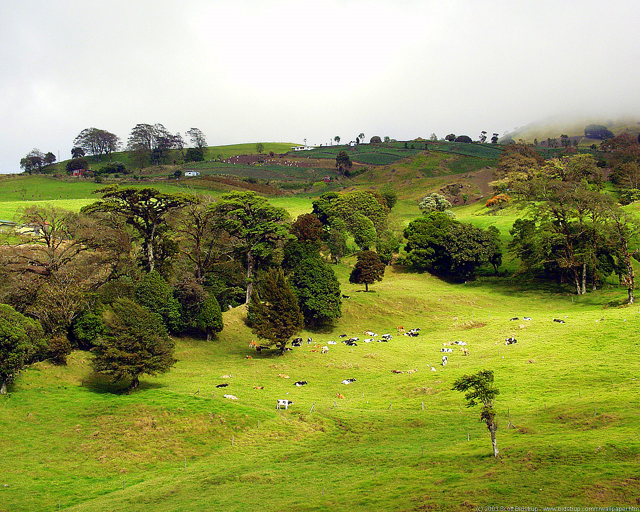 Fondo paisaje de costa rica - Fondos de Pantalla HD - Wallpapers HD