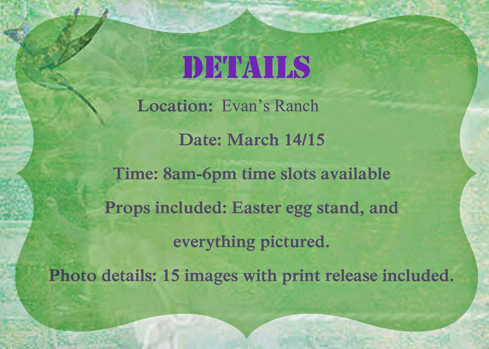 Beau Visage Photography