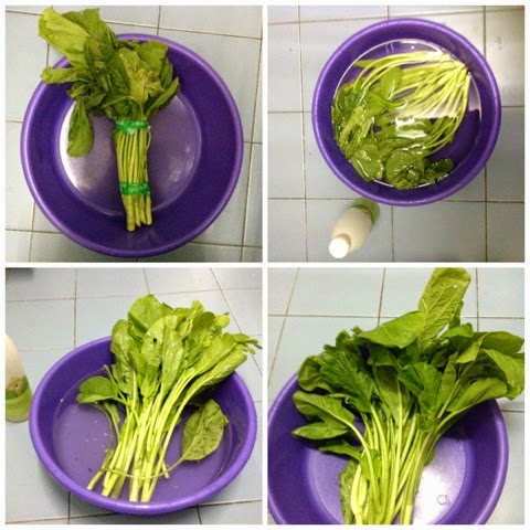 kebaikan untuk dikongsi bersama: Basic H Shaklee lebih dari sekadar ...