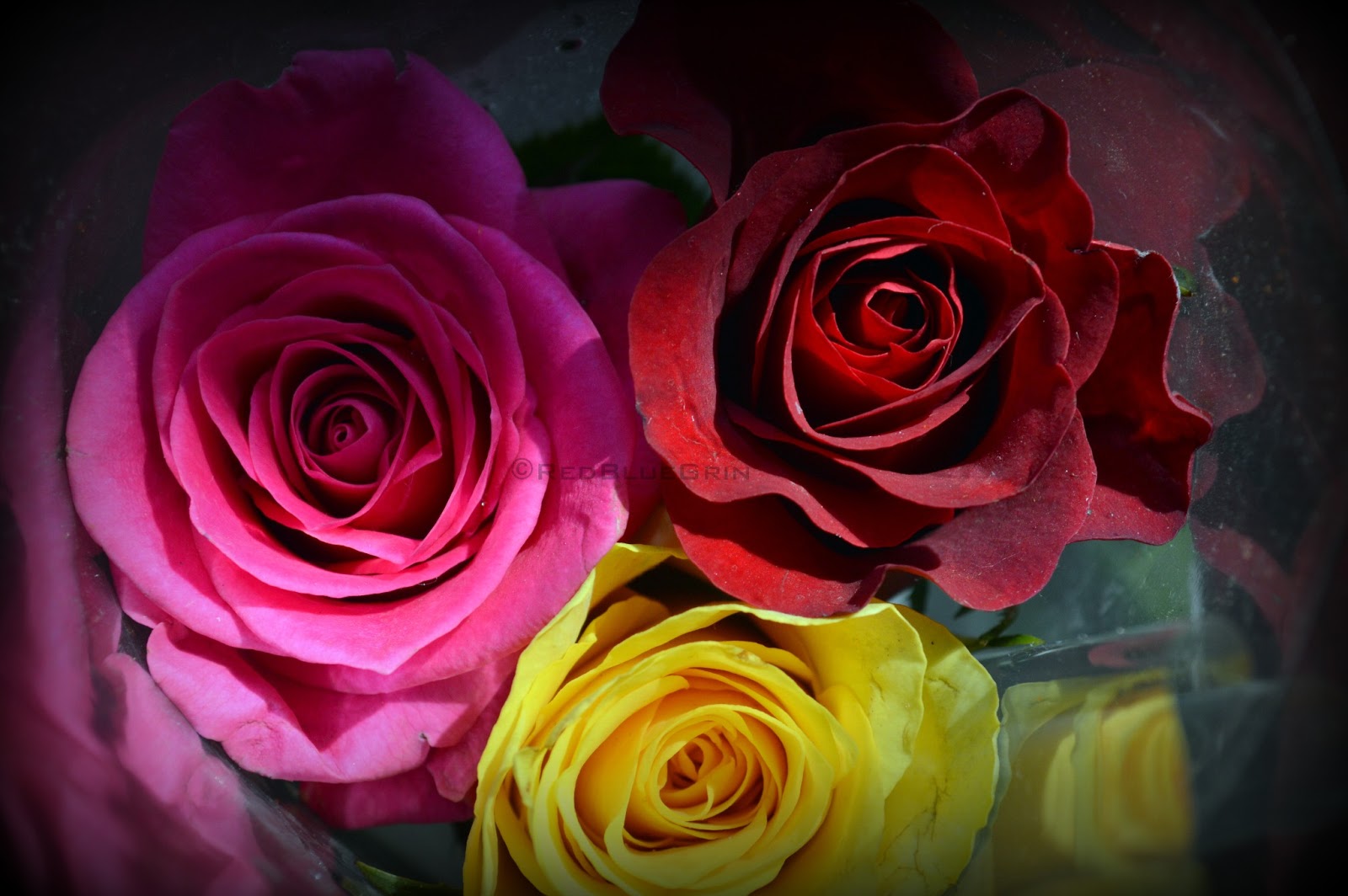 Flowers of Heart | RedBlueGrin