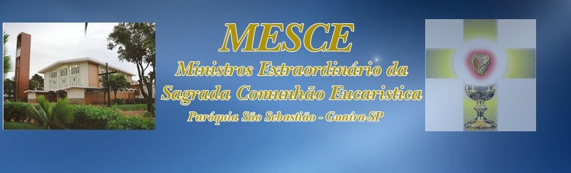 MESCE-GUAÍRA: MESCE - Ministro Extraordinário da Sagrada Comunhão ...
