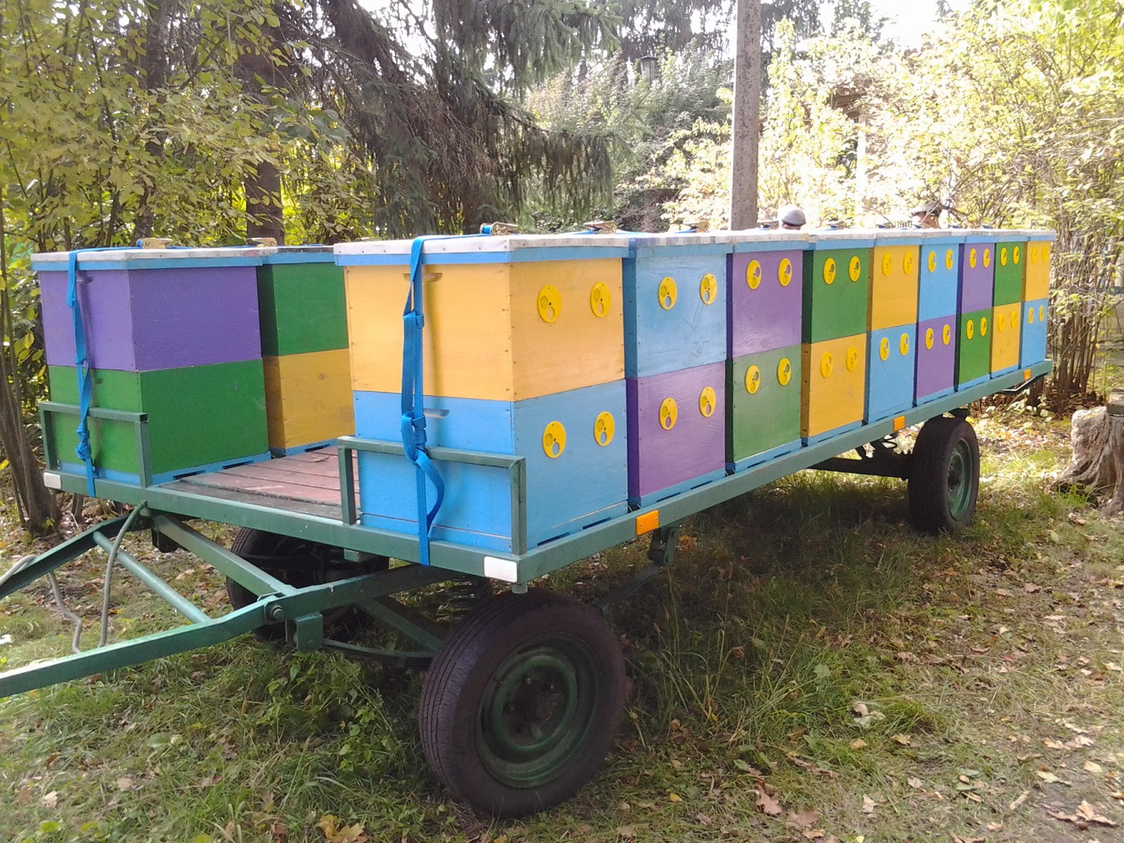 A Beekeeper's Blog: Visit to a village apiary- banking honey bee ...