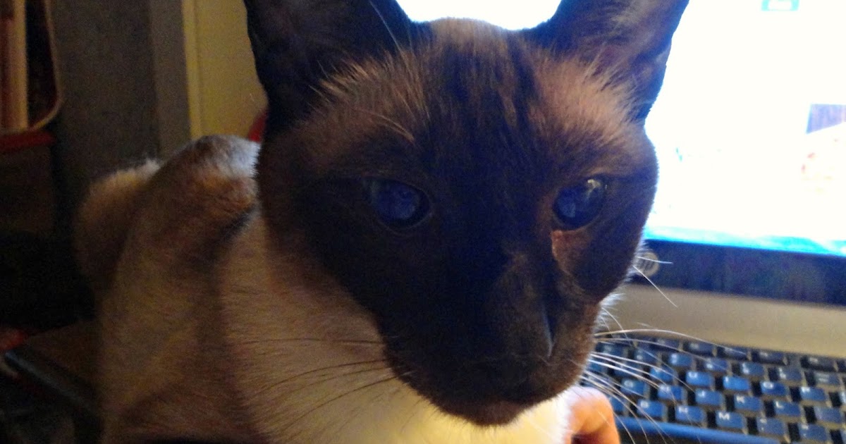 viv out on a whim: friday morning chitter chatter!