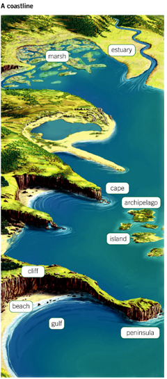 Mi primer año en Red XXI: The coast (Unit 8 - Science Y5)