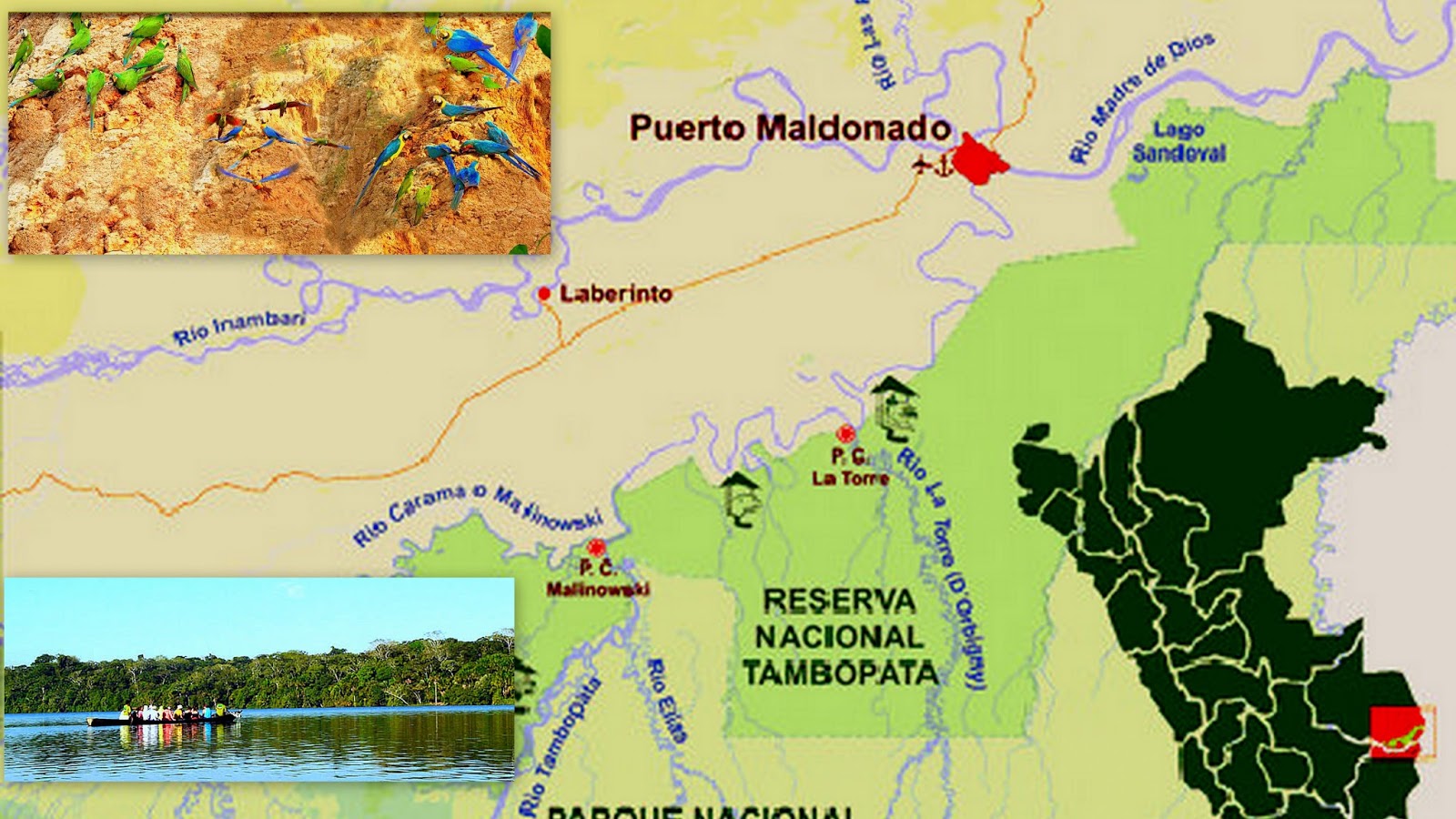 PLAAN : RESERVA NACIONAL TAMBOPATA-CANDAMO - EL JARDÍN DEL EDÉN EN EL PERÚ