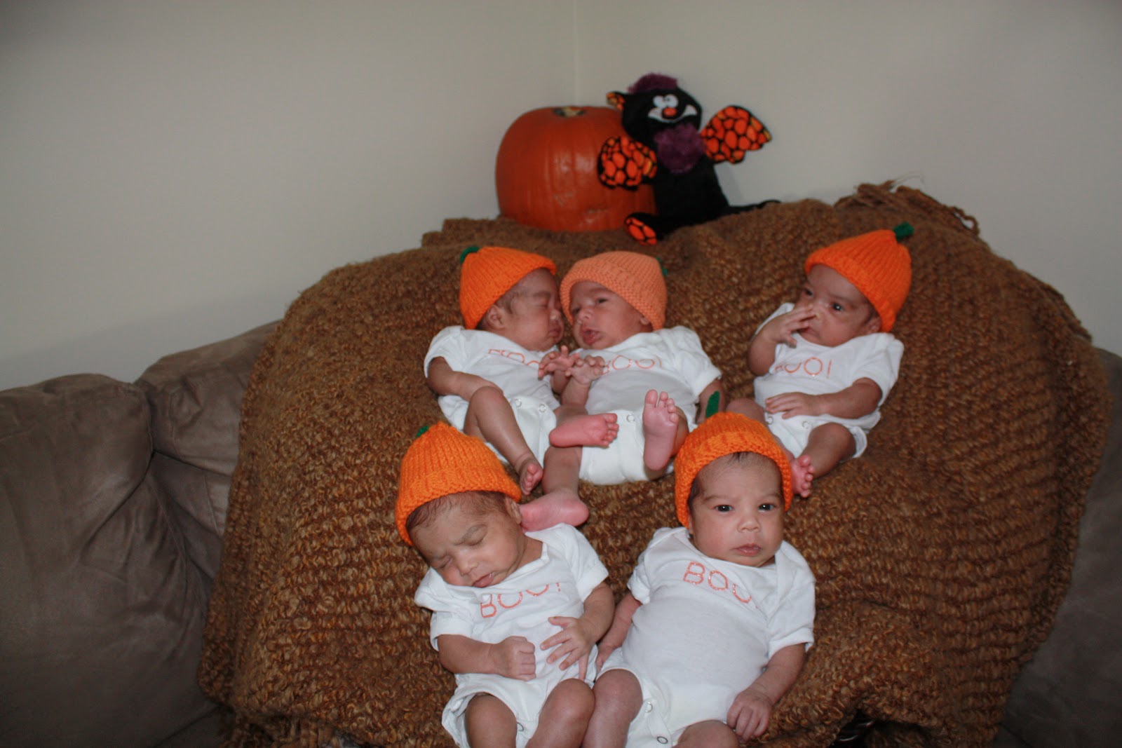 ME AND MY CREW: OMG..WERE HAVING SEXTUPLETS....