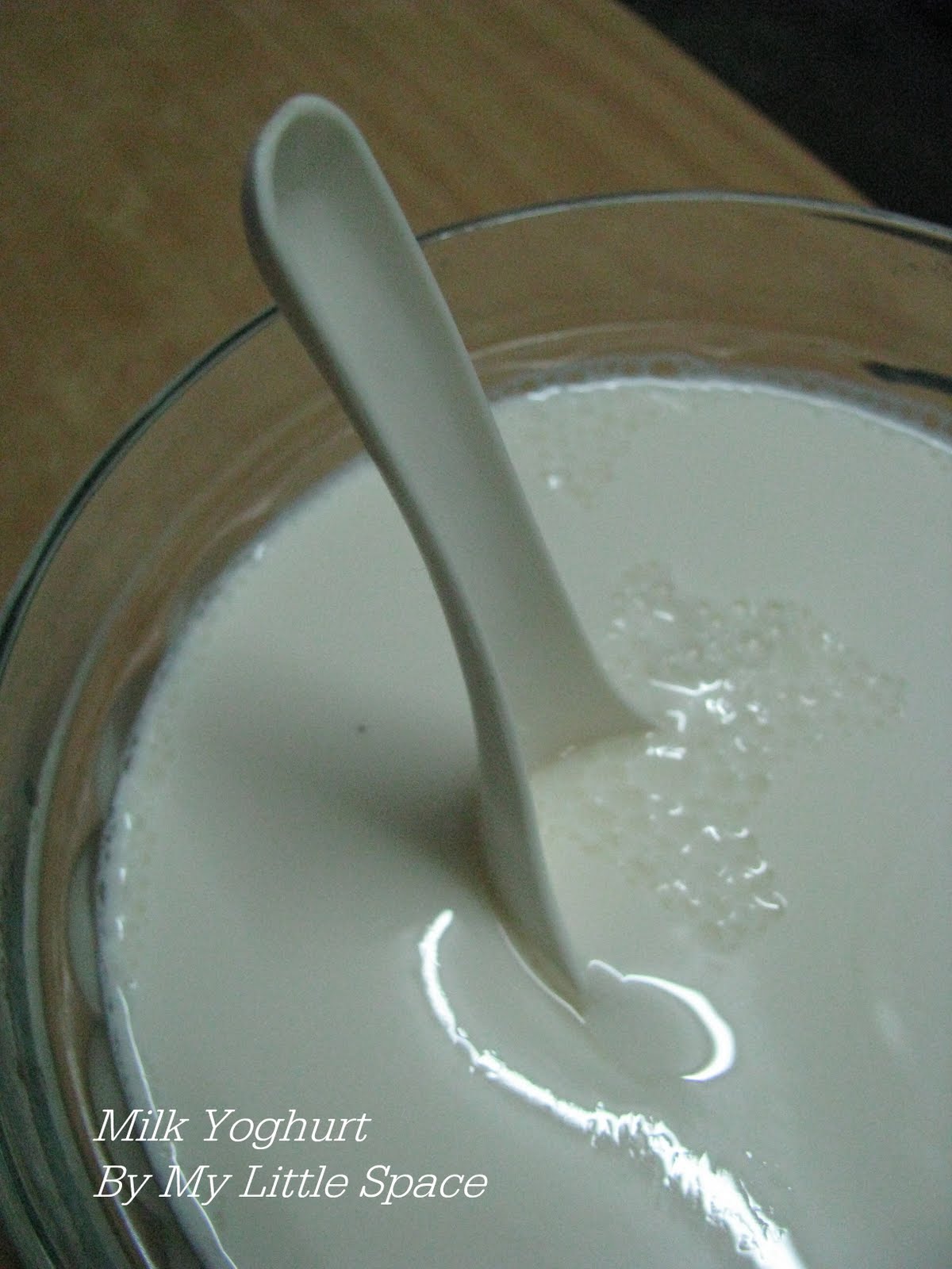 Homemade Soybean Milk & Milk Yoghurt