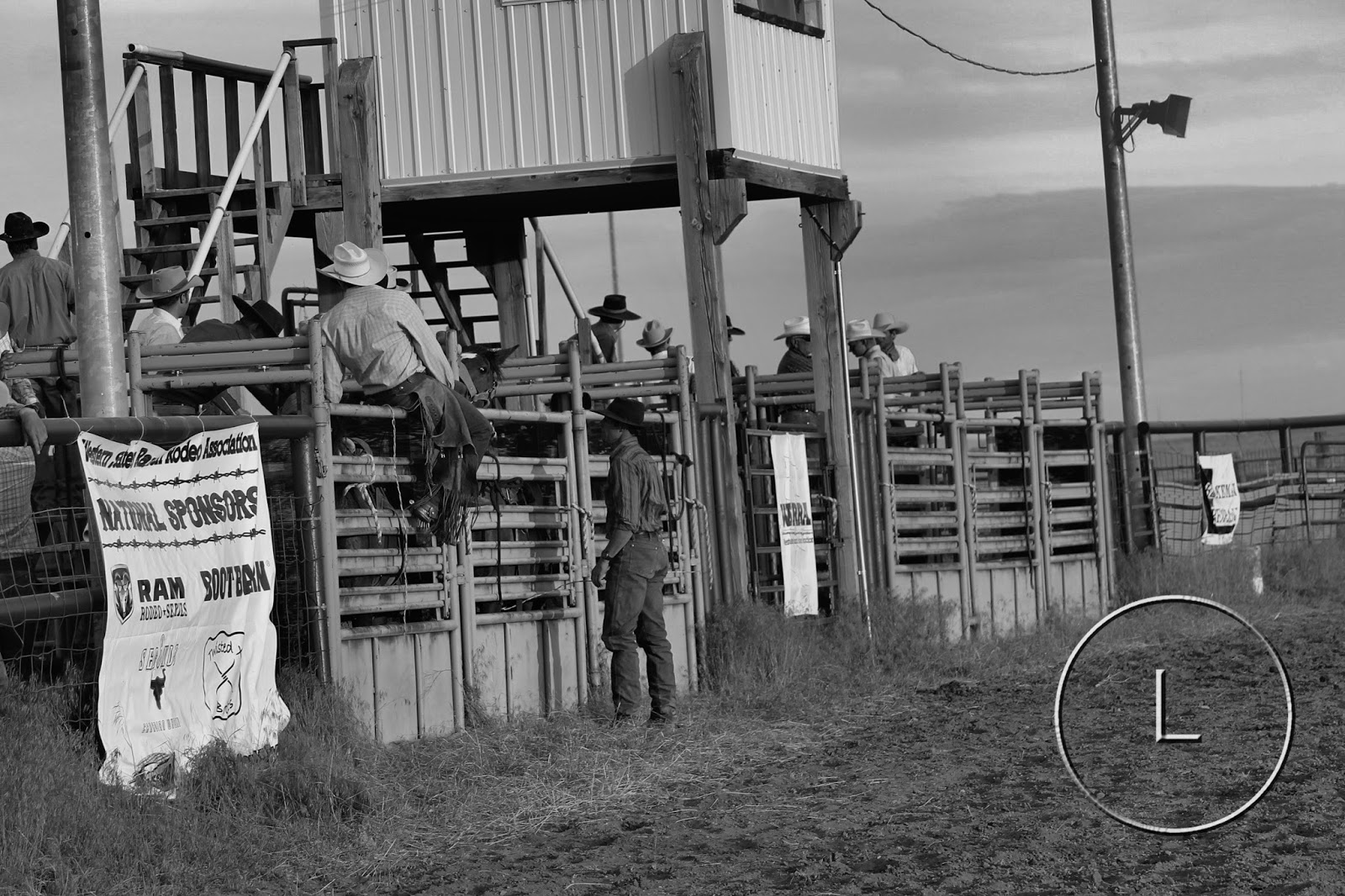 Fun Fact Friday from the Circle L! – The Circle L Ranch