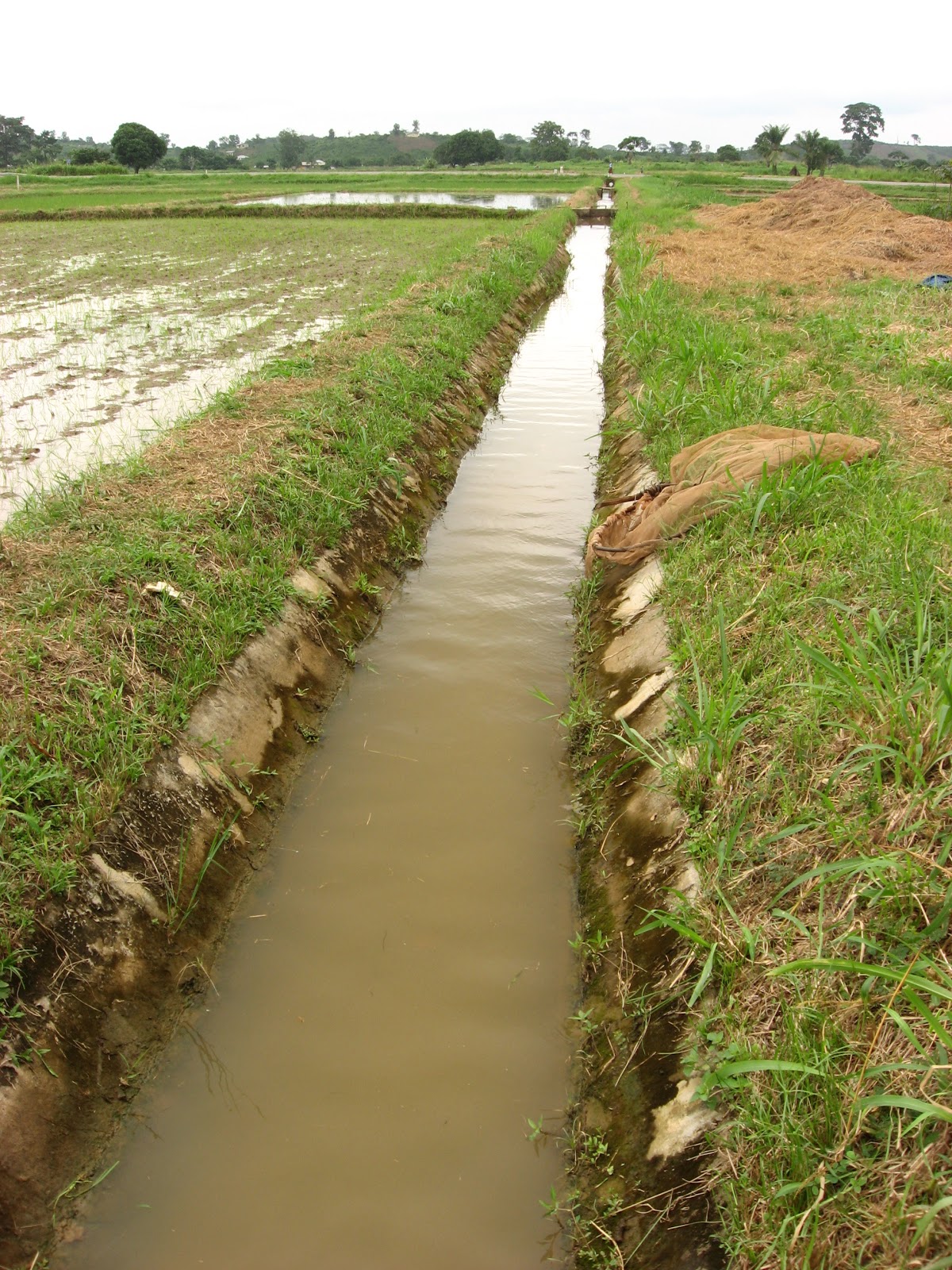 Helping People Help Myself