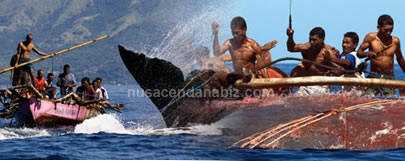 Tourism Destination: Pariwisata NTT