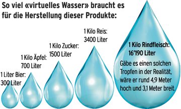 Forward the (R)evolution - in Harmonie mit der Erde: Umweltschutz im ...
