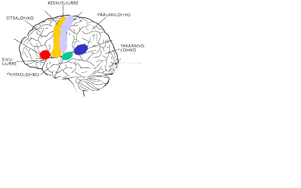 teknologiaa Viivin tapaan: Tablettien opetuskokeilua - Ohjeistusta