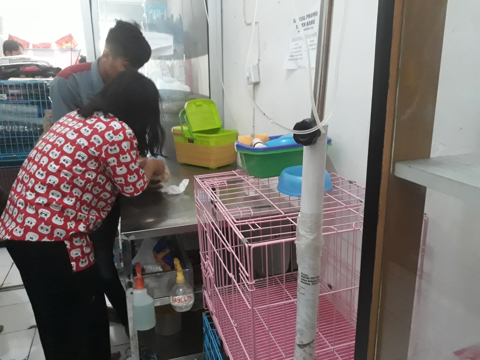 Bimbel Kedokteran di Jogja: Dokter Hewan Di Bintaro Sektor 9