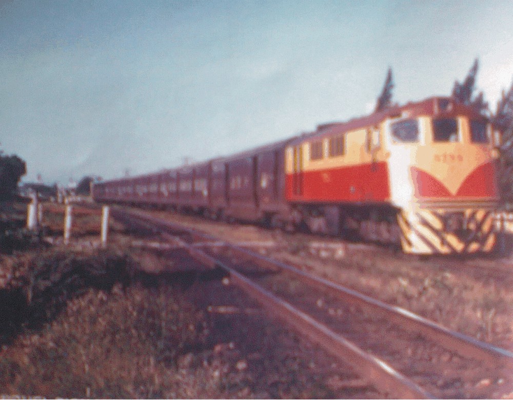 Agarrate Catalina!: Los cien años del Belgrano Norte