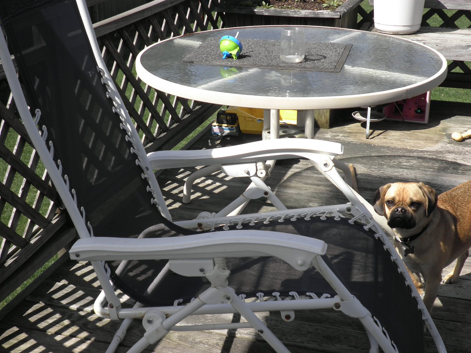 Barb's Bite Sized Notes