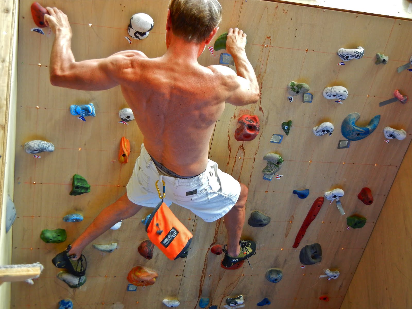 Ski the Modern way with Harald Harb: Total body training, use a ...