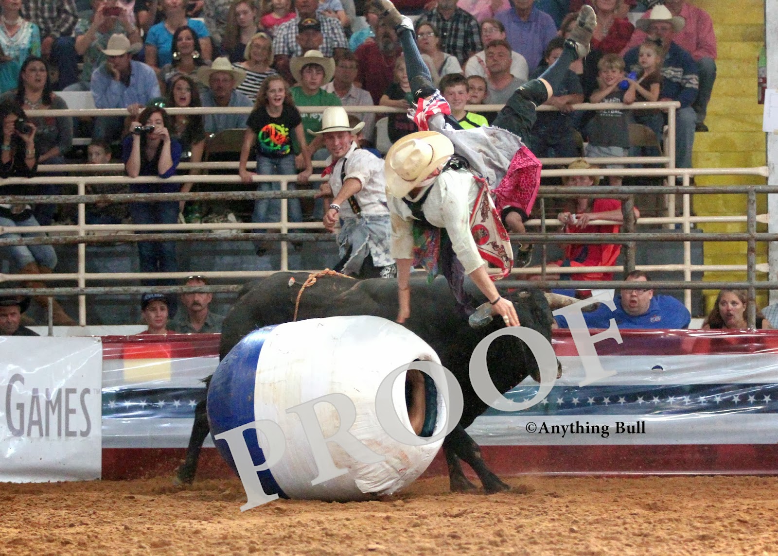 Anything Bull or Rusty: Saturday Round 4 - Clint Hopping