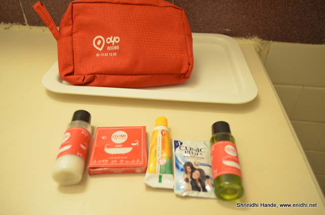 Exploring Bengaluru with Oyo Rooms! - eNidhi India Travel Blog