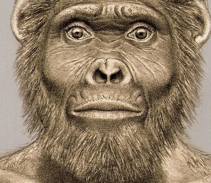 Brane Space: Exploding Myths to do with Evolution (1)